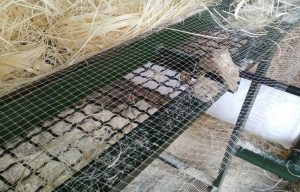 Stretched Square Net (Bi-Oriented Net) - Everplast