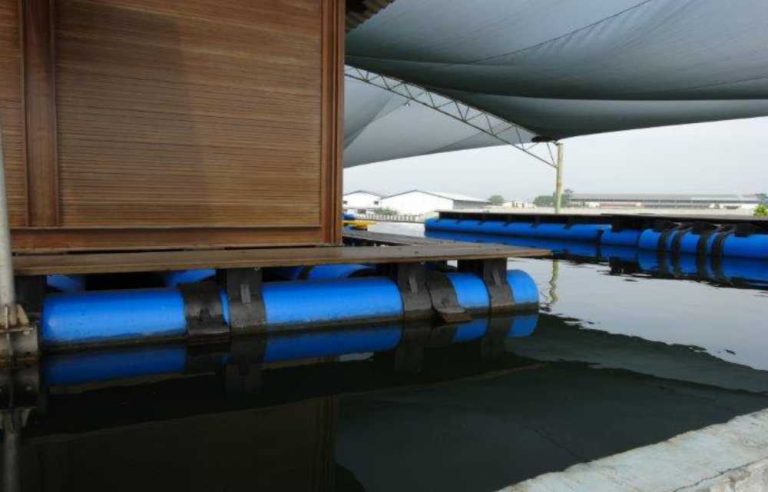 Taiwan Plastic Extrusion Everplast - WPC House