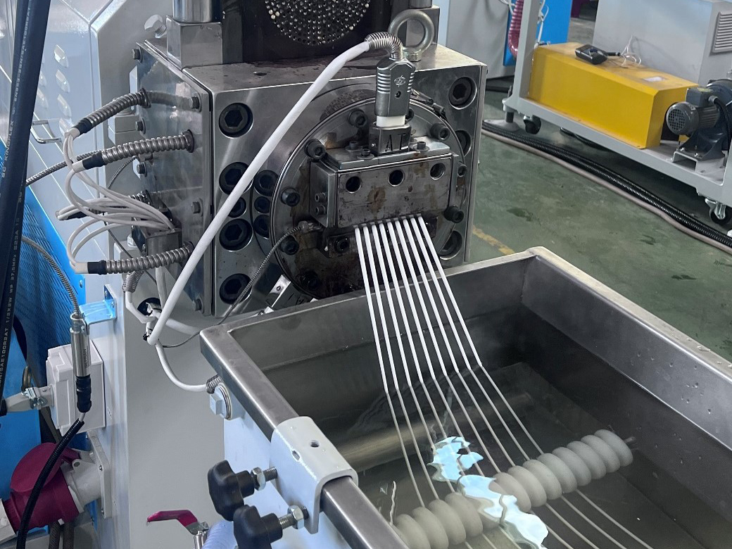 PS FOAM PELLETIZING EXTRUSION LINE - Everplast